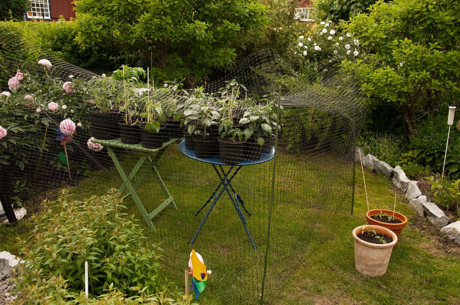 3 tips för att din trädgård ska växa optimalt